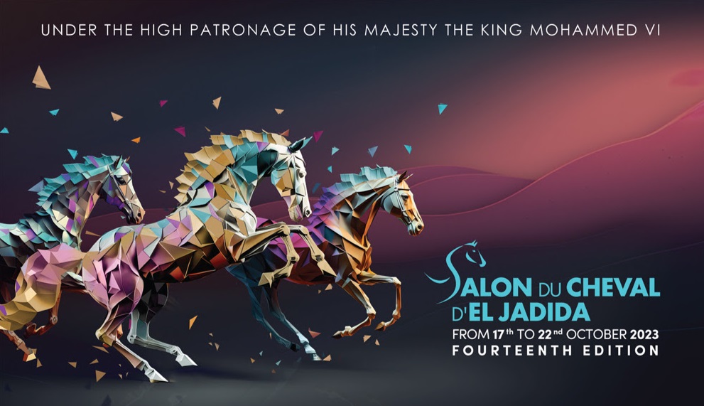 2023.08.16.99.99-mrt-preview – JUMPER NEWS