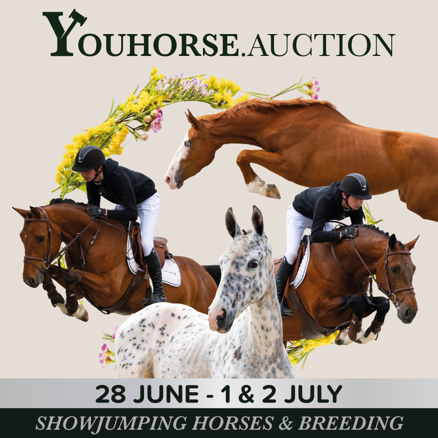 French Equestrian Federation Announces Team for the European ...